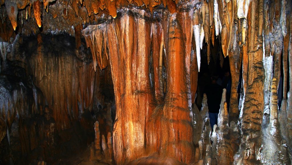 Florida Caverns State Park Topo Map FL, Jackson County (Marianna Area)