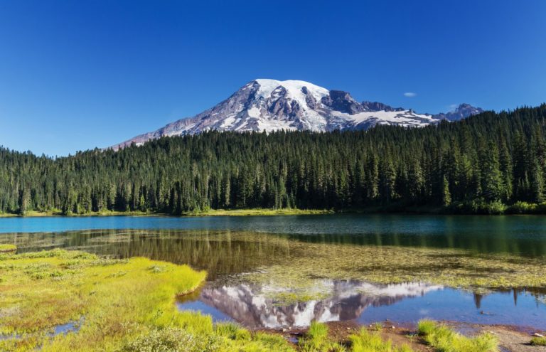 Maps of the Washington Volcanoes - TopoZone